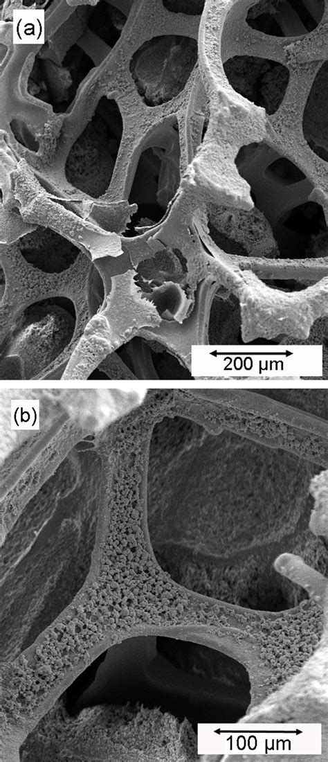 SEM Micrographs At A Low And B High Magnification Showing The Download Scientific Diagram
