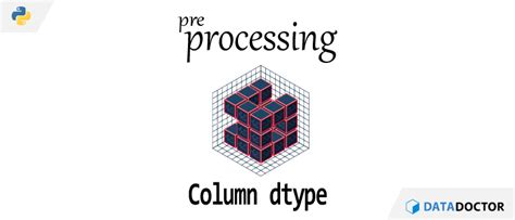 Py 전처리 데이터프레임 데이터 유형 Data Doctor