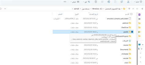 مشكلة Build Failed With An Exception عند بناء تطبيق Flutter جافا