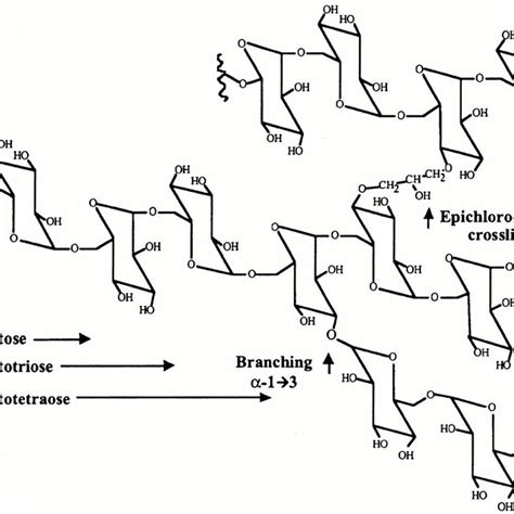 Pdf Sephadex Binding Rna Ligands Rapid Affinity Purification Of Rna
