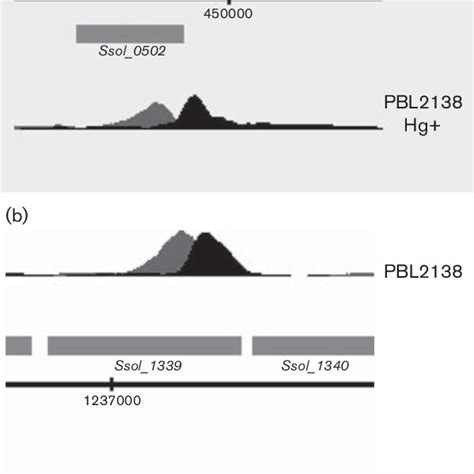 Chip Seq Analysis Positional Read Density Derived From The Chip Seq