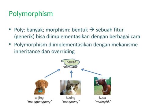 Ppt Konsep Berbasis Object Object Oriented Concept Powerpoint