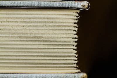 The Romance Of A Books Naked Edges Are Akin To The Tumbex