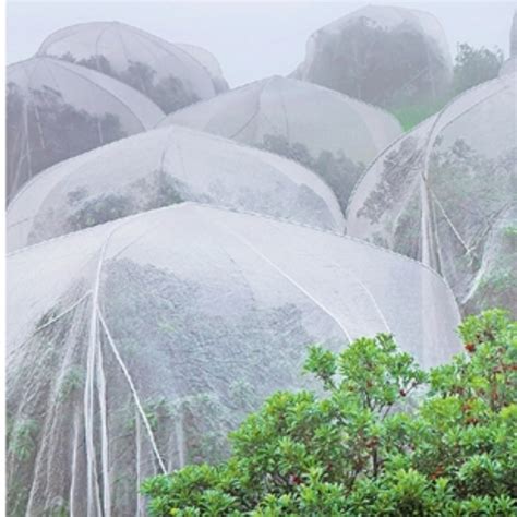 China High Quality Farm Insect Net Factory Manufacturers And Suppliers Double Plastic