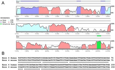 cross species comparative sequence alignment a genomic alignment