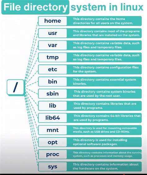 Let S Learn Little Bit About Linux Unveiling The Depths Of Linux Directories A Comprehensive