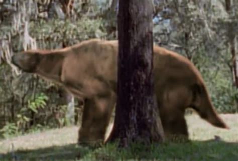 Megalonyx Prehistoric Park Fanon Wiki Fandom