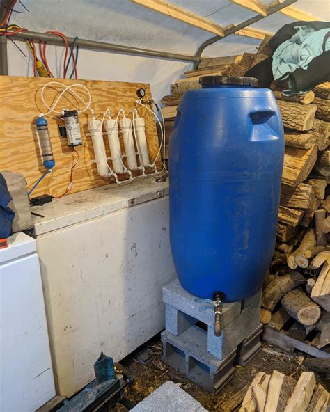 Mans Diy Maple Tree Tapping System Collects 100 Gallons Of Sap Sig Nordal Jr