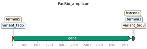 Analyze Pacbio Ccss — Deep Mutational Scanning Dms Pipeline For A Viral Entry Protein Vep