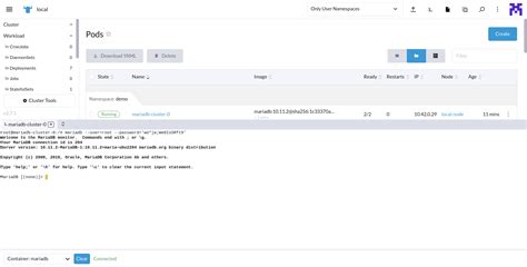 Deploy Production Grade MariaDB Cluster In Rancher Using KubeDB