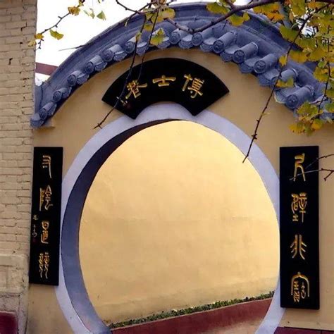 办实事开新局这个网红村蝶变成乡村振兴新样板 湖村