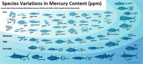 1 Species Variations In Mercury Content Ppm Source John Blanchard Download Scientific