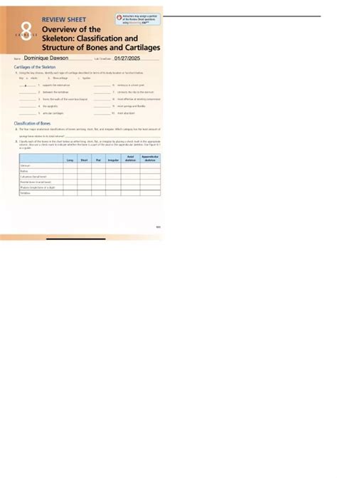 Anat260 Homework Review Sheet Overview Of The Skeleton Classification And Structure Of Bones And