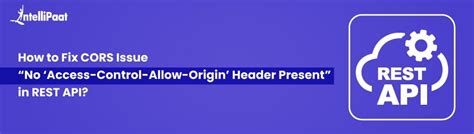 CORS Error No Access Control Allow Origin Header Present