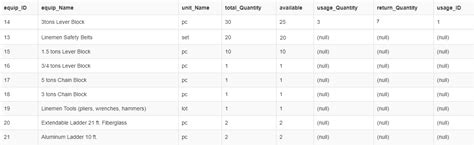 Mysql Dynamic Output Of Total Usage And Total Return Of Equipment