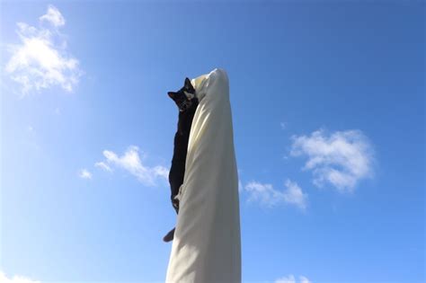 Brett Girven Posted On Linkedin