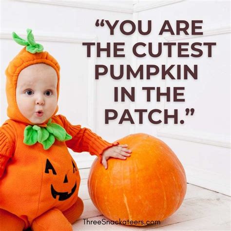 101 Best Pumpkin Quotes Puns Instagram Captions And More The Three Snackateers