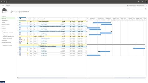 Timescale In Ms Project Pro
