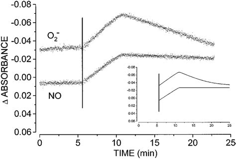 Comparison Of Computer Simulation With Experimentally Obtained Data No