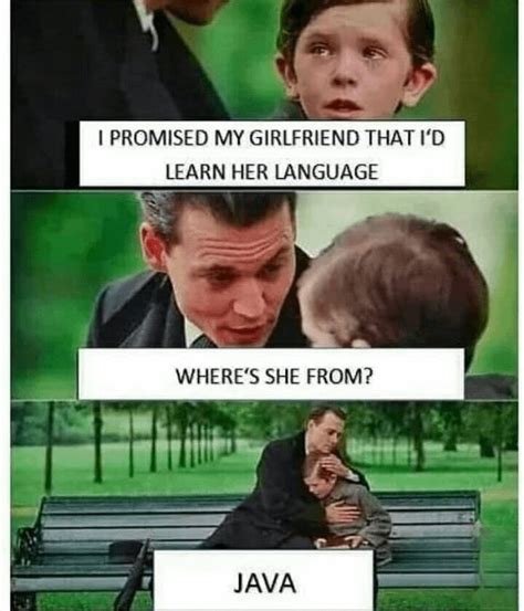 java isn t that bad 😂😂 what do you think r programmingmemes