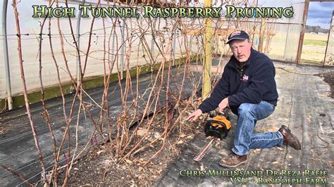 Raspberry Pruning YouTube