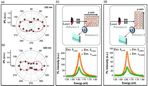 Polarization‐dependent Pl Of Gate Ab Excitation Download