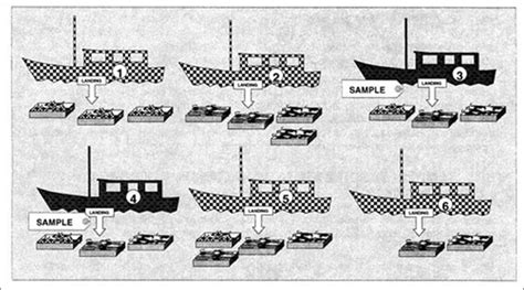 Illustration Of The Concepts Of Total Enumeration And