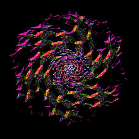 Homemade Fractal By Footonthedawn On DeviantArt Fractals Fractal Images Optical Illusion Gif