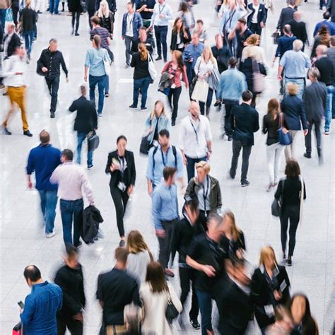 Insights Griffith Hack