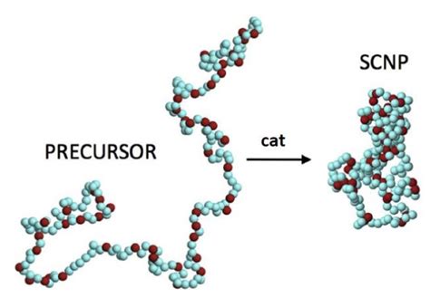 Single Chain Nanoparticles Mapping Ignorance