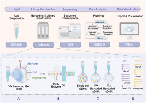 自由，科研绘图自由！ Ai 新浪新闻