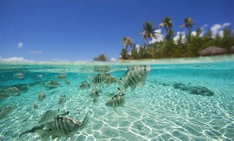 2023年 全球十大最佳海岛 你去过几个？ 知乎