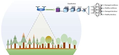 paper on tree health classification by deep learning remote sensing
