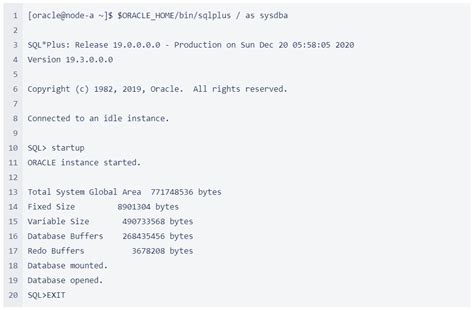 Start Database And Listener On Node A Lifekeeper For Linux Live 961