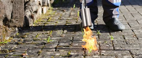 Propane Torch Weed Burner Kit ETOOLAB Weed Torch Output BTU With FT Hose Blow