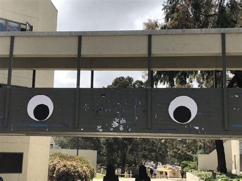 Yes R Ucsd