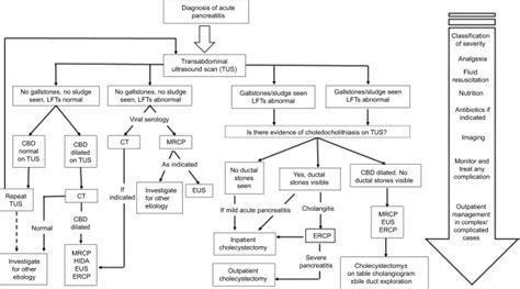 Acute Pancreatitis Current Perspectives On Diagnosis And Management Abstract Europe Pmc