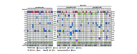 Co Mutation Plot Of Common Driver And Suppressor Genes In Invasive