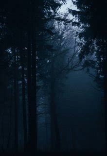" Темный лес ", Анстас - читать книгу онлайн полностью, бесплатно на Литнет