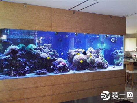 你家魚缸還在隨意擺放嗎這些禁忌必須要跟家人講 每日頭條