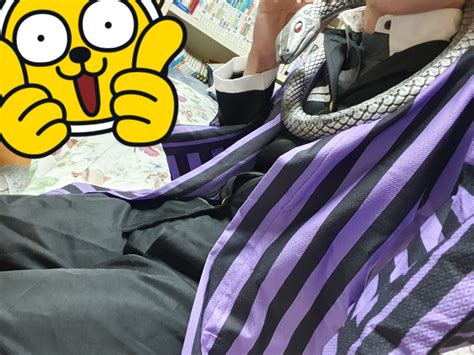 네 했습니다 코스프레 Op Gg