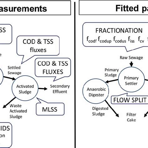 Parameter Estimation For The Simplified Steady State Model Download Scientific Diagram