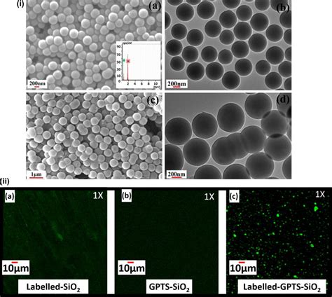 i characterisation of a b unmodified sio2 particles by a sem download scientific