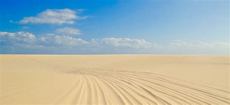 Reasons Why Surrogate Loss Functions Are Pivotal For Classification In Machine Learning By