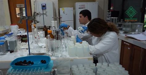Laboratorio De Química Portal De El Colegio De La Frontera Sur