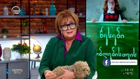 ბავშვების მიერ ნაწამები ცხოველები და მძიმე სტატისტიკა Youtube