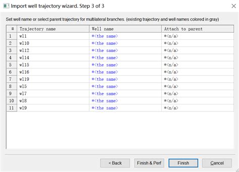 操作指南（48）：通过builder导入井眼轨迹 Learn Cmg