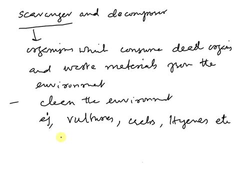 Solved What Is The Difference Between A Scavenger And A Decomposer Give Examples