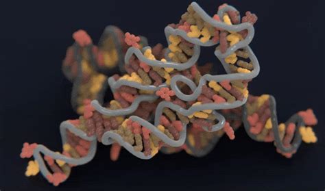 Ai预测rna结构，science论文转化出一家新公司，打开药物研发新格局 知乎