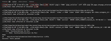 Vscode Output Ansi Color Code Not Work Rvscode